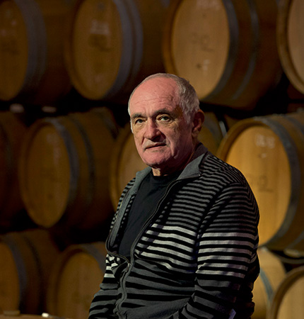 Cilić Vinarija – Vinarija i destilerija, smeštene su u srcu gazdinstva ...